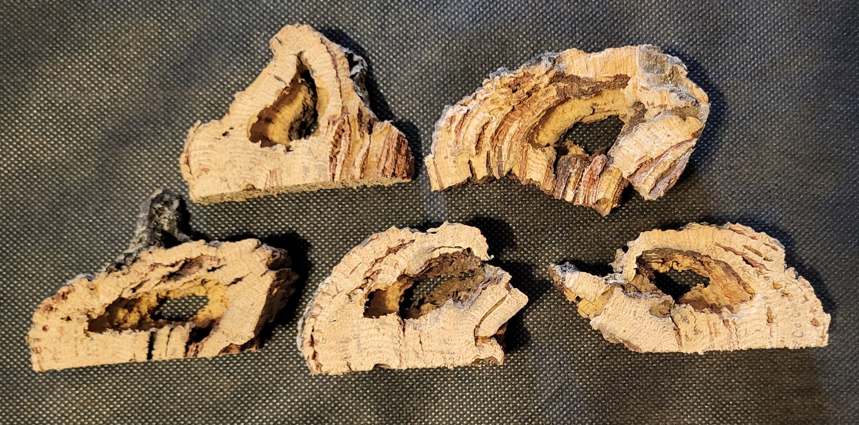 Magnetic Cork Caves | BIOLYVES