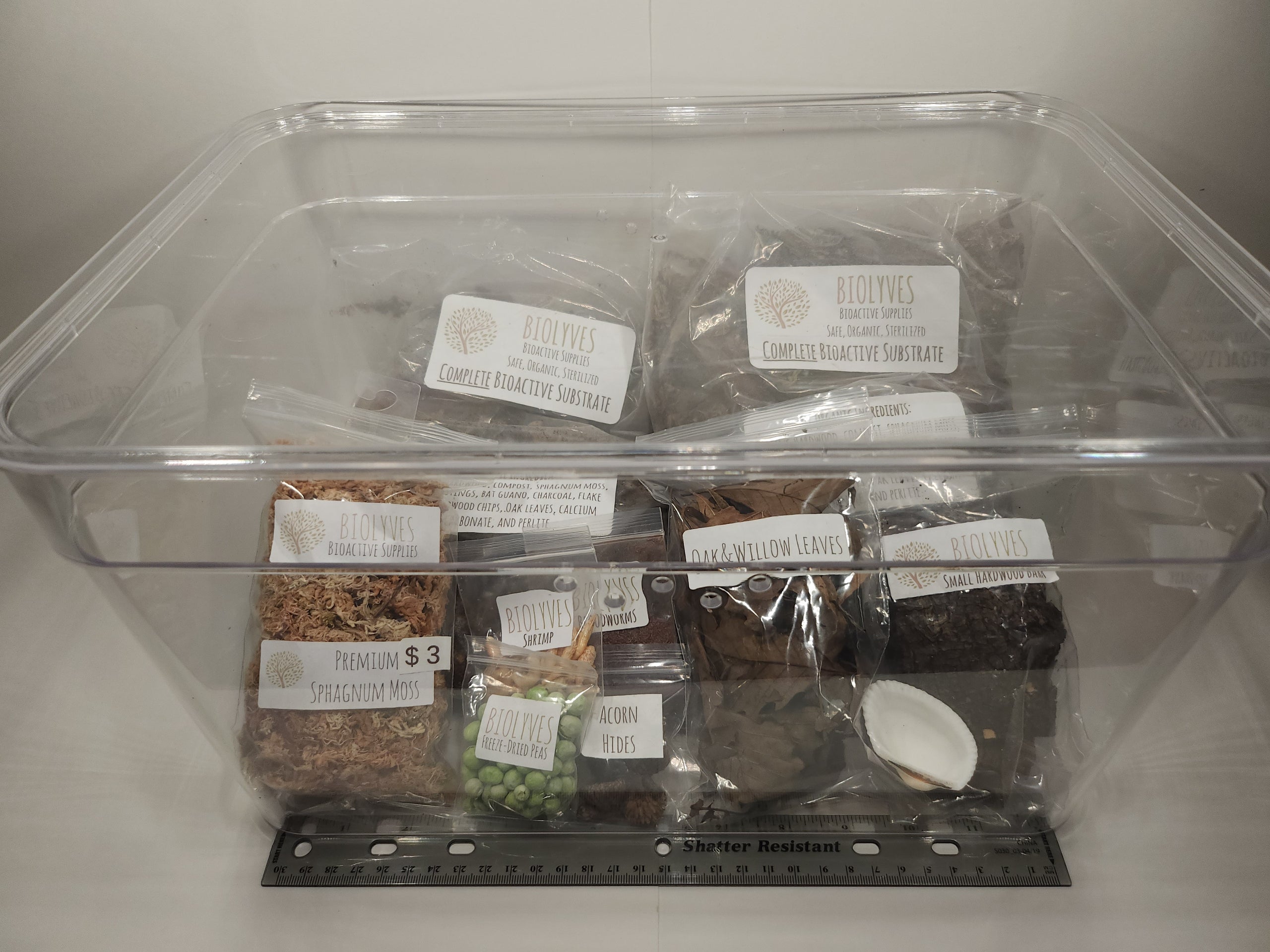 Complete Display Cage Setup | BIOLYVES